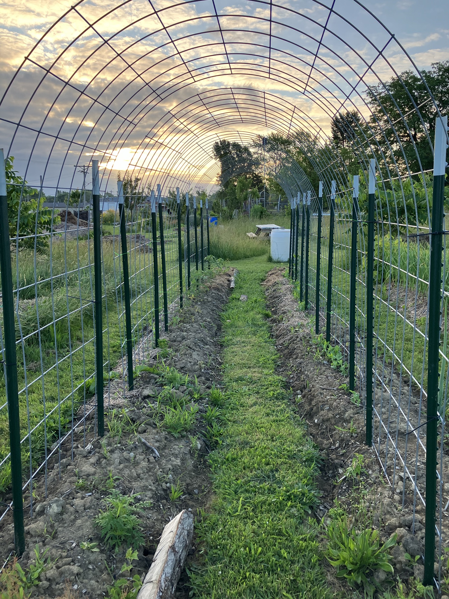 Harbor Garden’s Garden – Harbor Gardens: Local Food Market ...